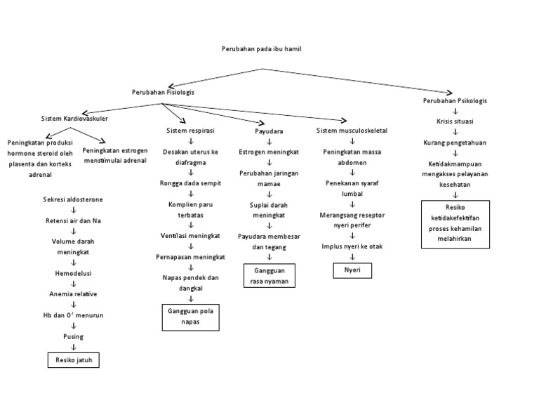 Pathway Trimester 2 | PDF