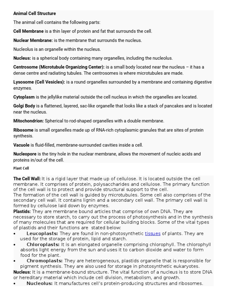 Animal Cell Structure | PDF | Vacuole | Cell (Biology)
