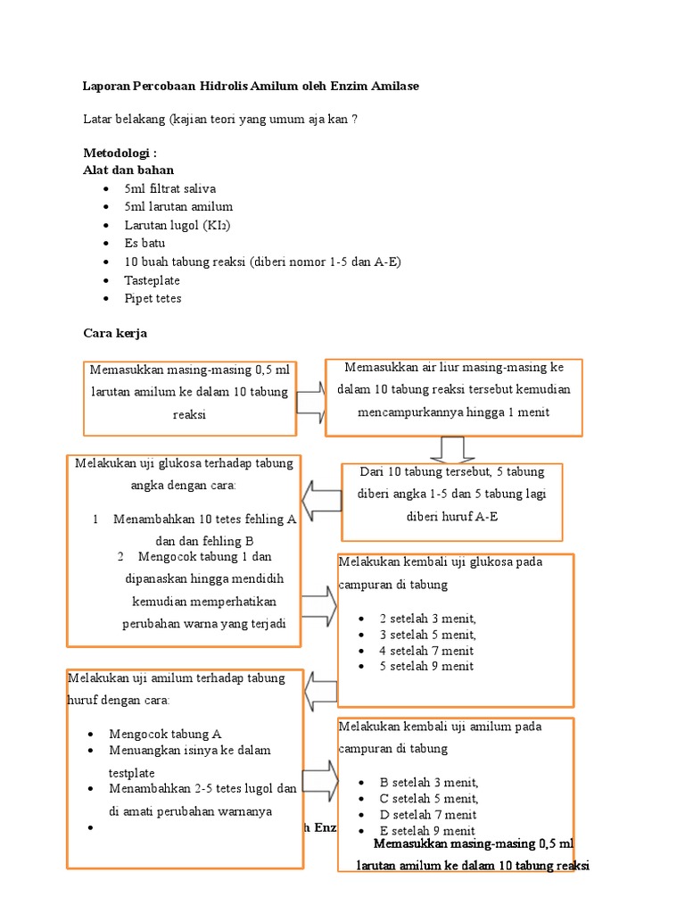 Laporan Percobaan Hidrolis Amilum Oleh Enzim Amilase | PDF