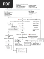 Pathways Hiperkalemia | PDF