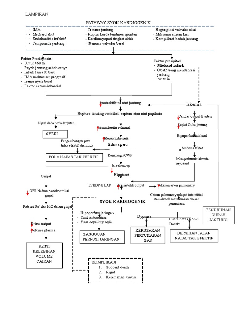 Kelompok 2 - LAMPIRAN PATHWAY SYOK KARDIOGENIK | PDF