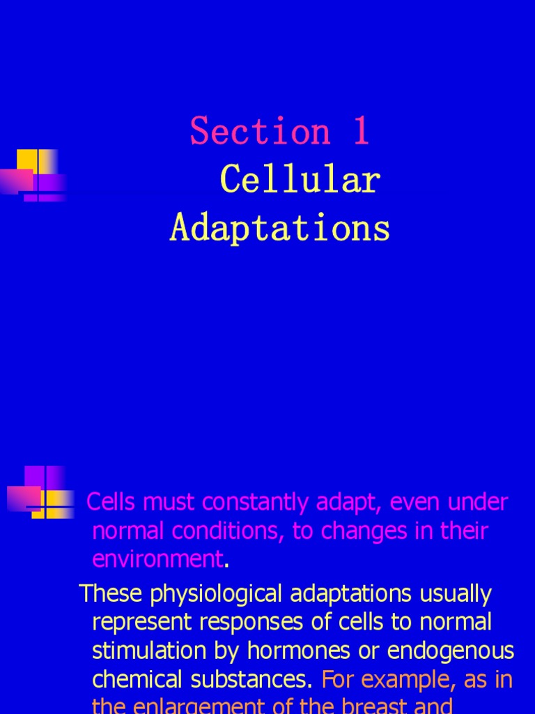 Section 1: Cellular Adaptations | PDF | Epithelium | Anatomy