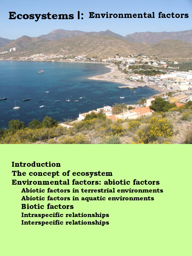 Ecosystems: Environmental Factors | PDF | Aquatic Ecosystem | Natural ...
