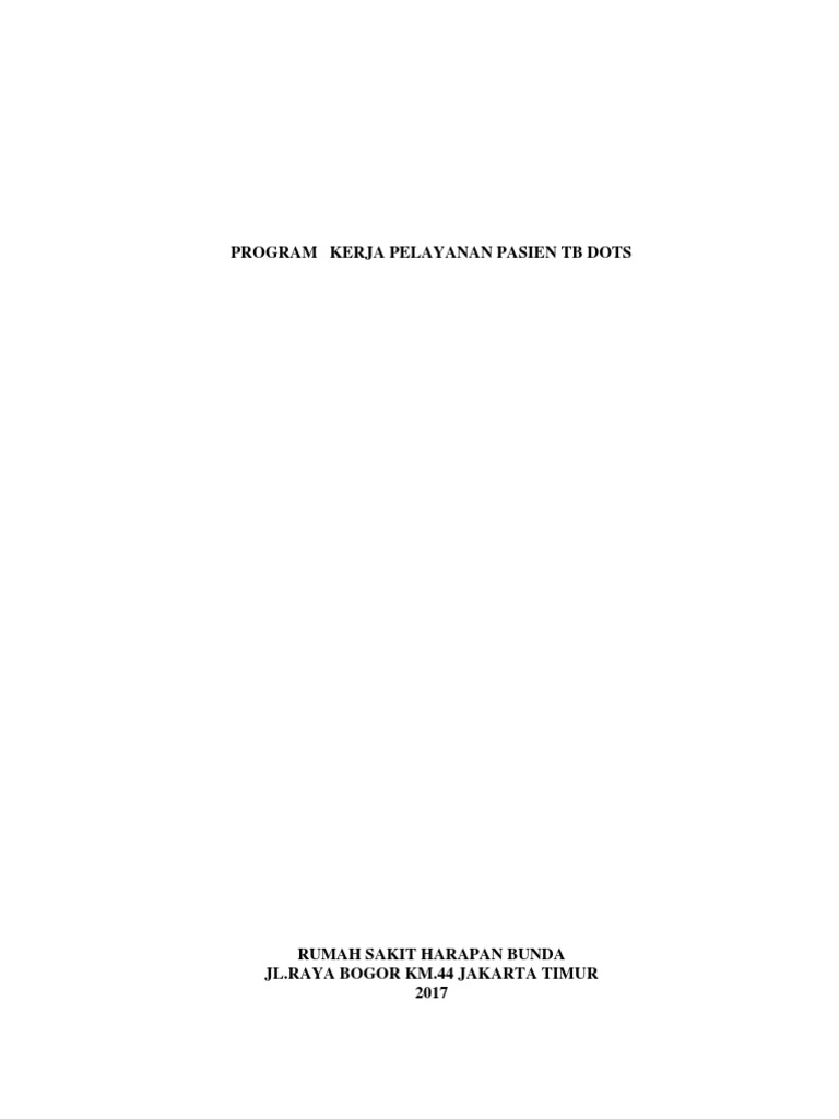 Contoh Program Kerja TB DOTs | PDF