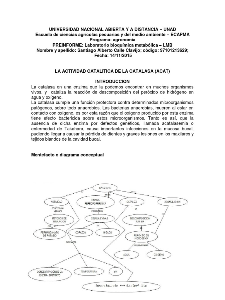 ACTIVIDAD CATALITICA DE LA CATALASA.docx | Catalasa | Catálisis