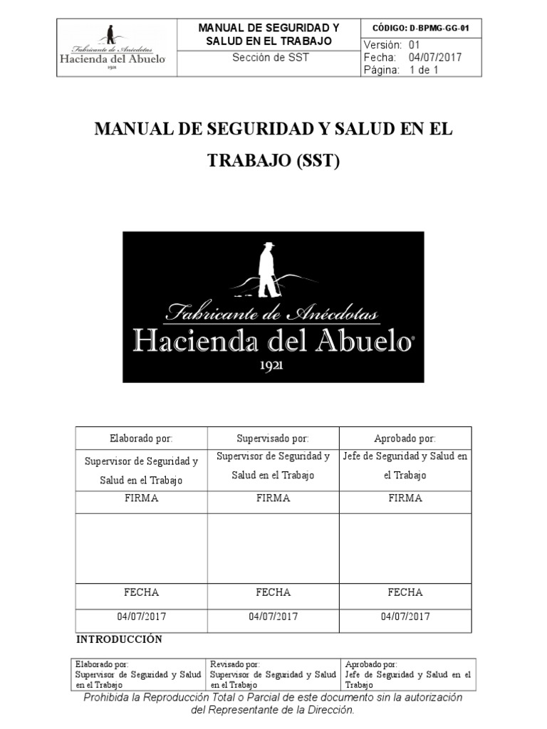 Manual de Seguridad y Salud en El Trabajo | PDF | La seguridad ...