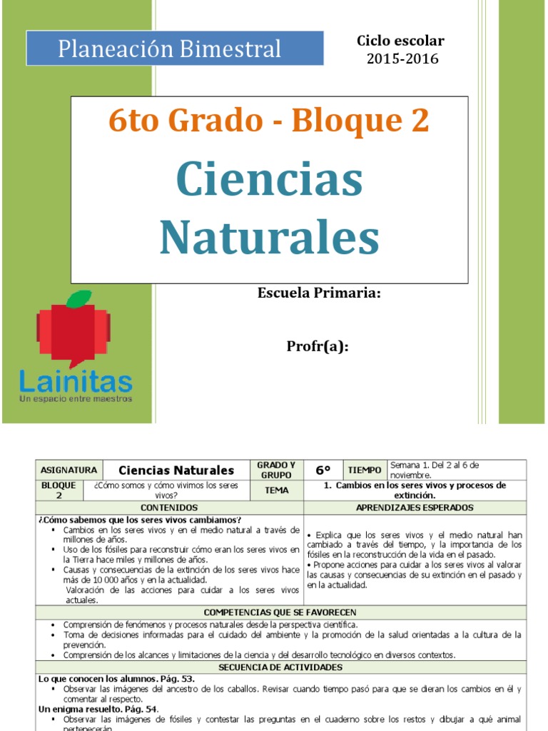 Plan 6to Grado - Bloque 2 Ciencias Naturales | Descargar gratis PDF ...