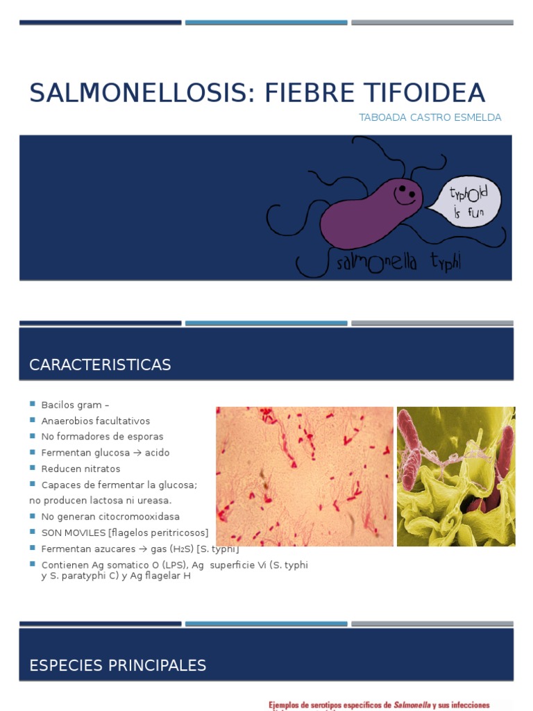 Fiebre Tifoidea (Esmelda) | PDF | Rtt | Especialidades Medicas