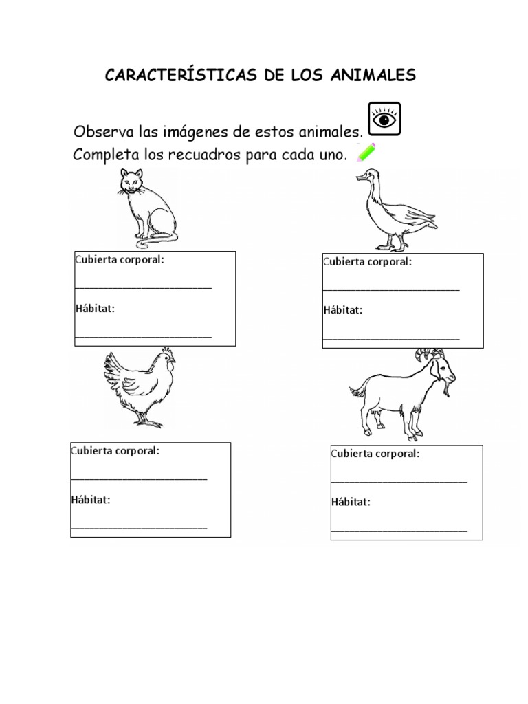 Guía Características de Los Animales | PDF