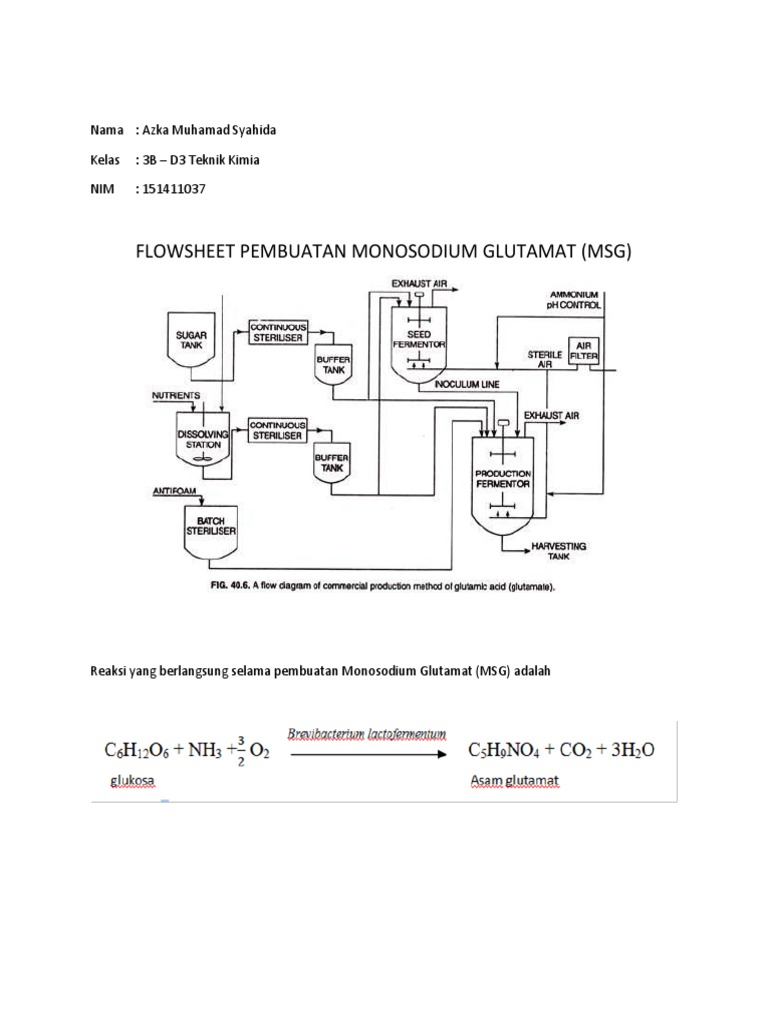 Flowsheet Pembuatan Micin (MSG, Monosodium GG) | PDF