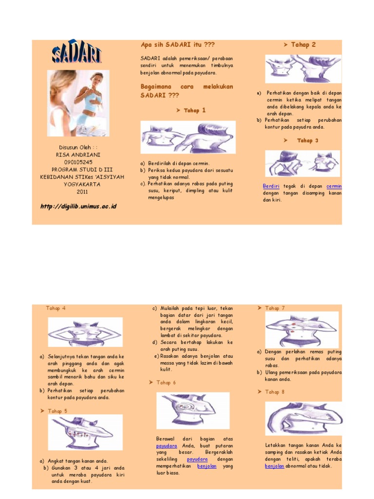 Leaflet Sadari 1 | PDF