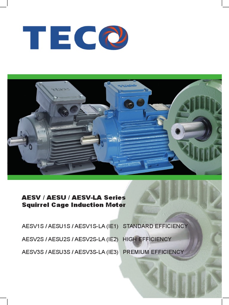 TECO AESV Induction Motor Overview | PDF | Electric Motor | Power Inverter