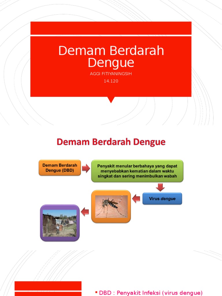 Demam Berdarah Dengue: Gejala, Penularan, Pencegahan, dan Penatalaksanaan | PDF