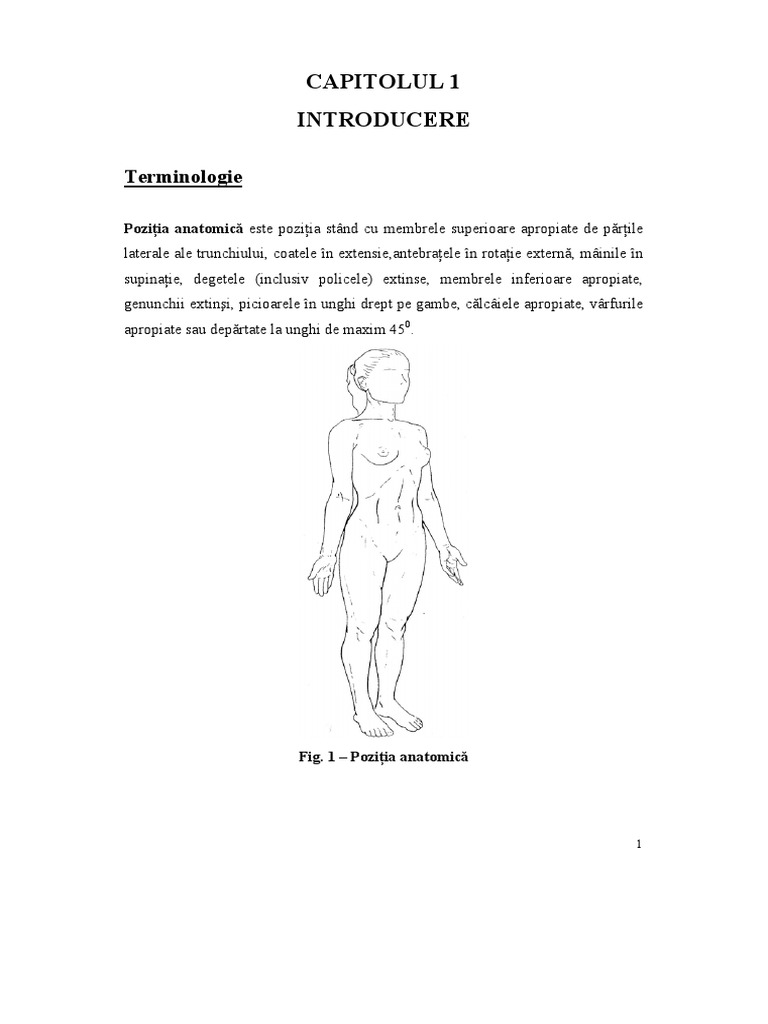 Carte Anatomie Topografica | PDF