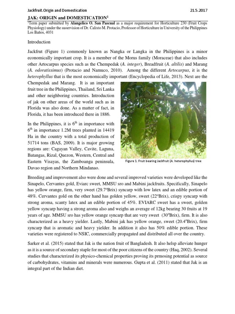 JAK | PDF | Flowers | Pollination