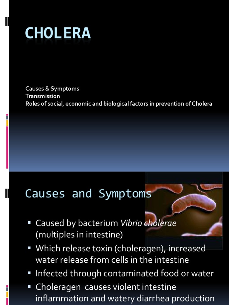 Cholera: Causes & Symptoms Transmission Roles of Social, Economic and ...