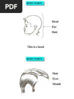 Neuro Obs | PDF | Anatomical Terms Of Motion | Coma