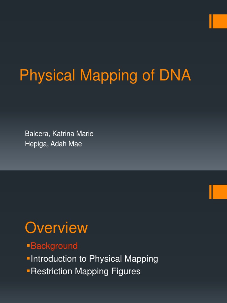 Physical Mapping | PDF | Restriction Enzyme | Dna Sequencing