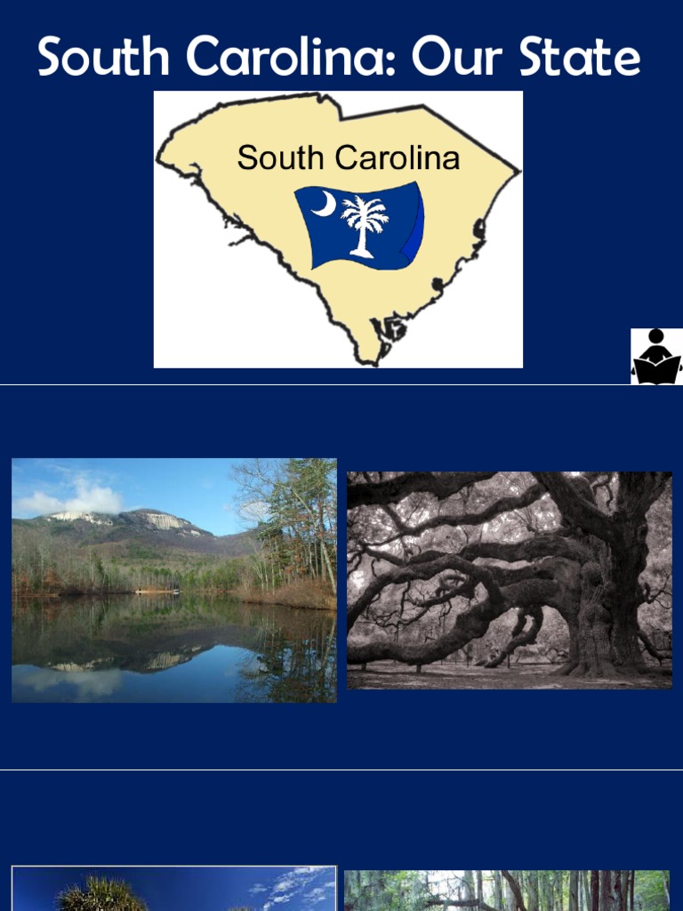 South Carolina: Geography, Stats & Symbols | PDF | South Carolina ...