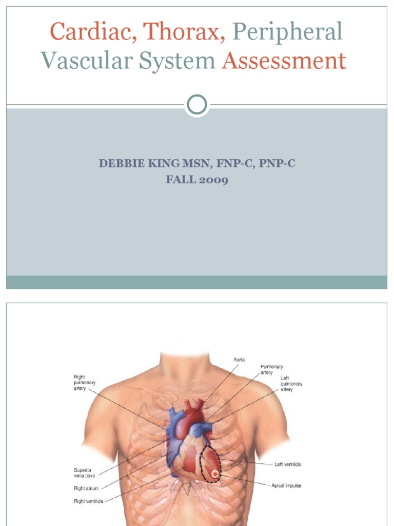 Cardiac, Lungs, Pvs Assessment | PDF | Pulse | Heart Valve