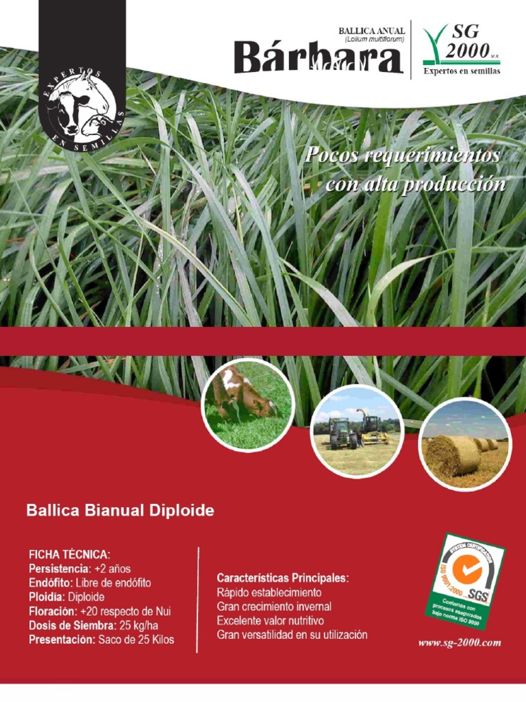 Ballica Bianual | PDF
