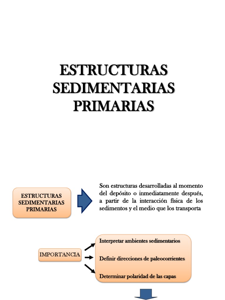 20 Estructuras Primarias I | PDF | Estrato | Roca sedimentaria