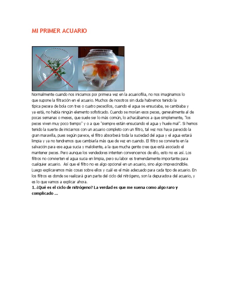 Mi Primer Acuario | PDF | Acuario | Fertilizante