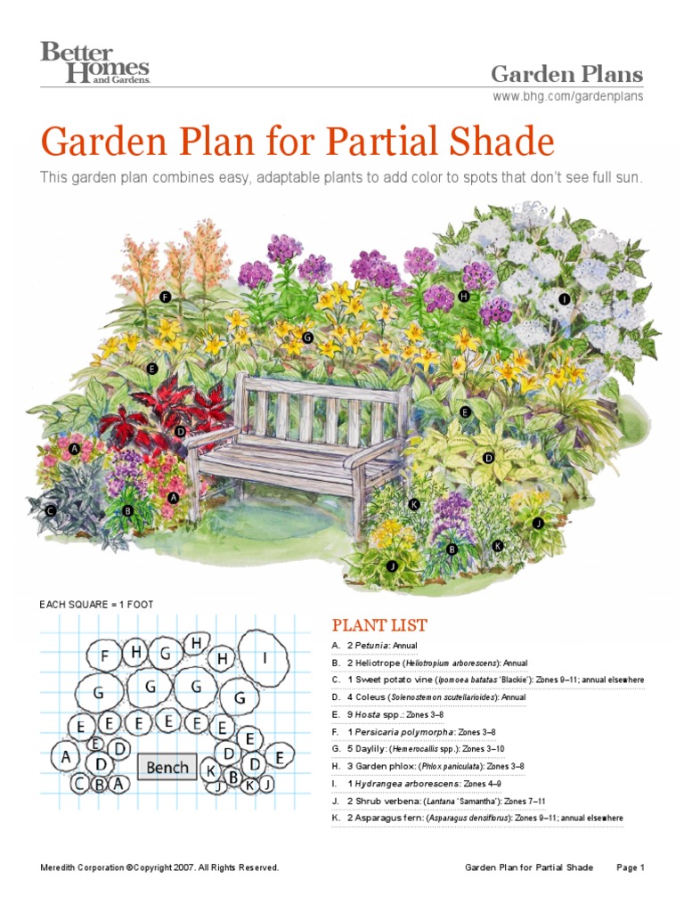 Garden Plan For Partial Shade | PDF | Mulch | Trees