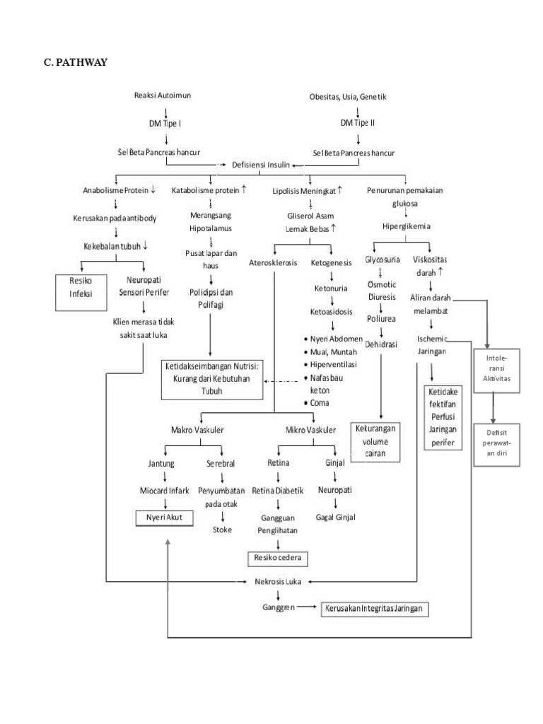 Fix Pathway DM | PDF
