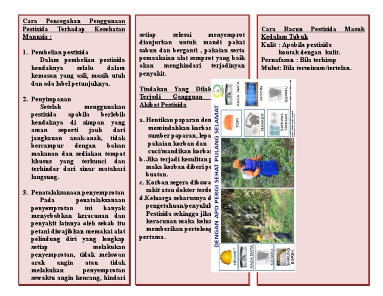 Leaflet 2 Pestisida | PDF