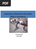 ANATOMÍA MACROSCÓPICA DE LOS SISTEMAS DE ÓRGANOS (Disección de Una Rata ...