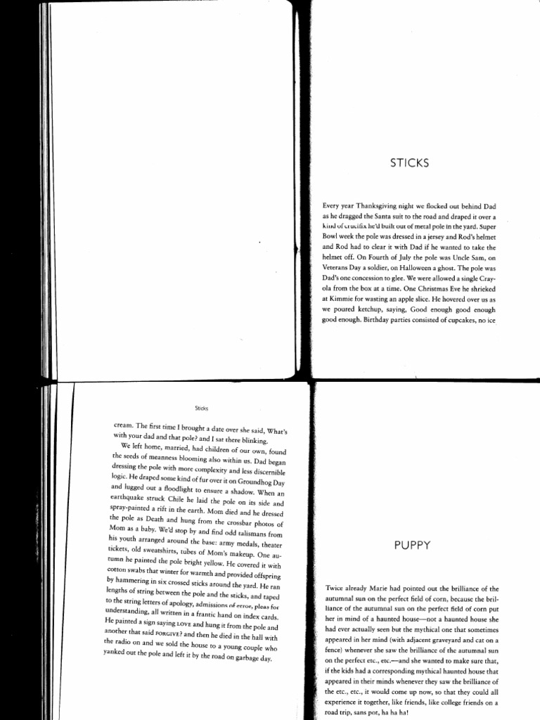 George Saunders Sticks | PDF