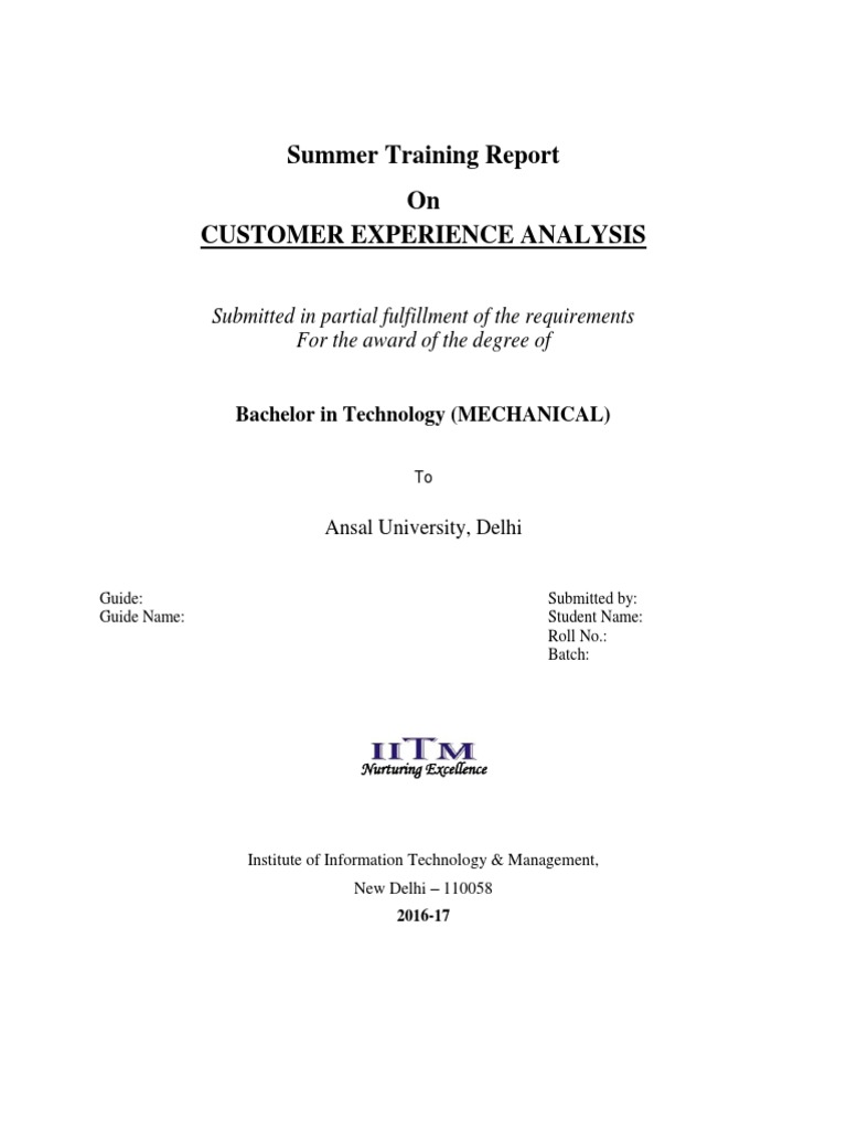 Summer Training Report on Customer Experience | PDF