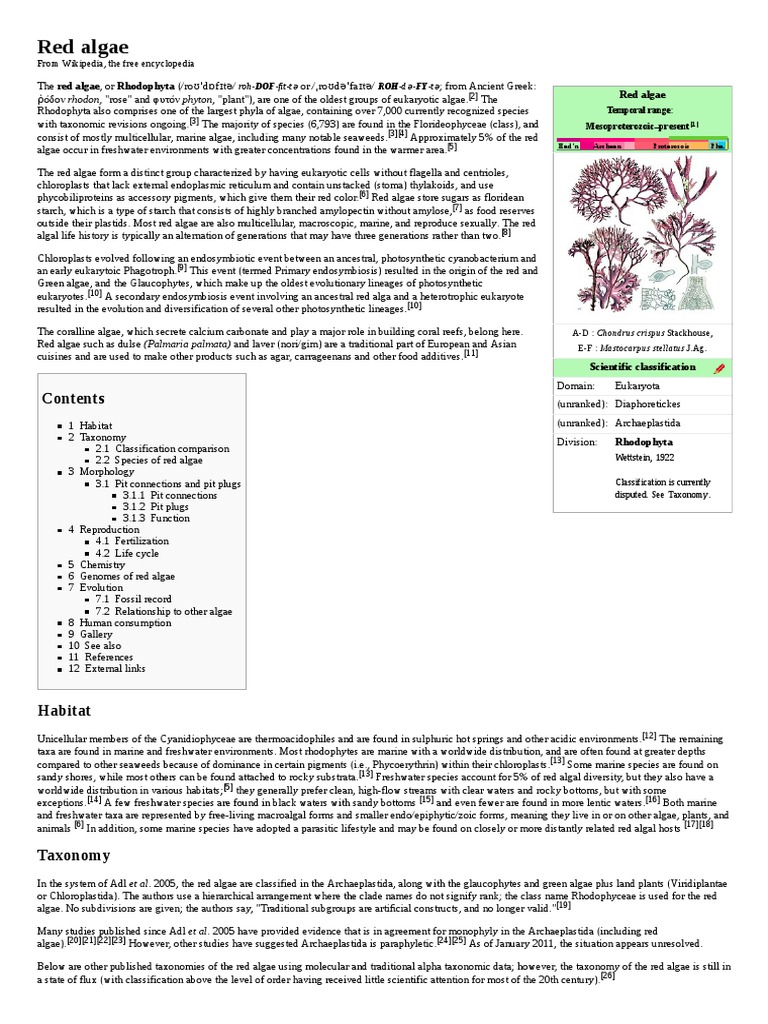 Red Algae: From Wikipedia, The Free Encyclopedia Ə Ə Ə | PDF | Algae ...