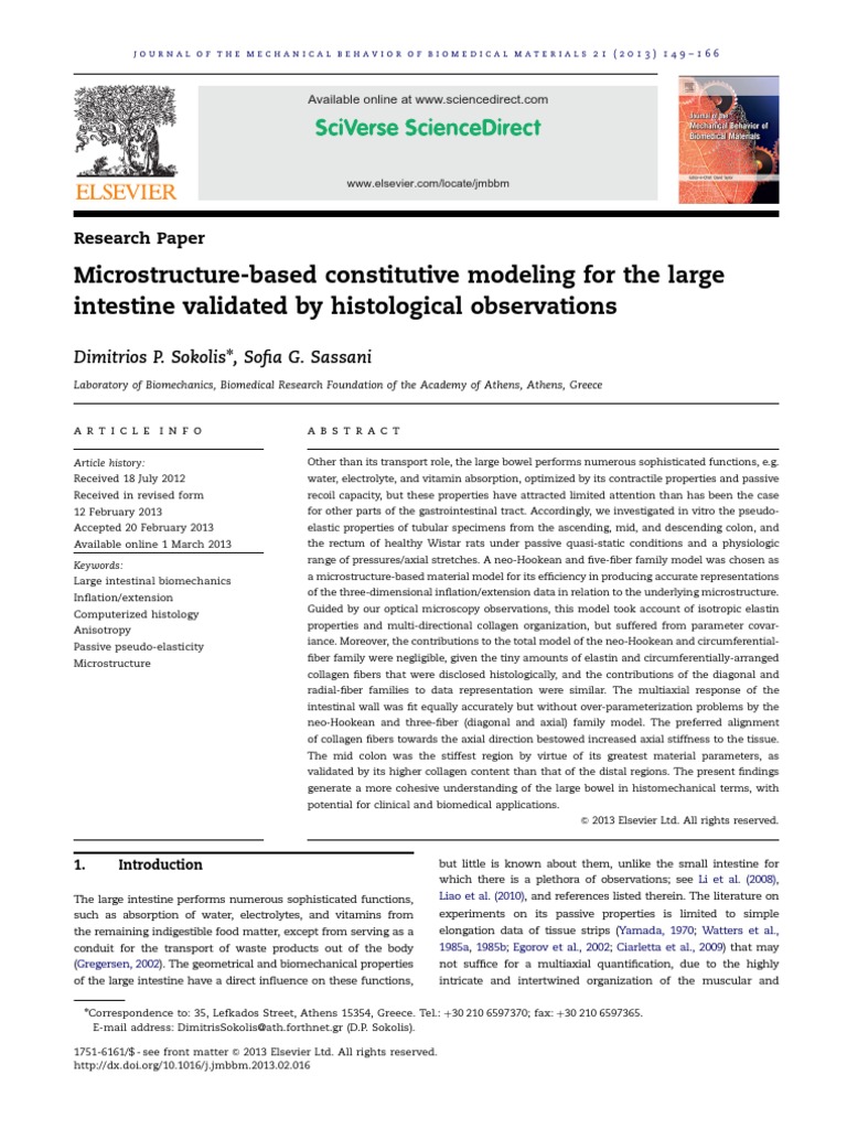Microstructure-Based Constitutive Modeling For The Large Intestine ...