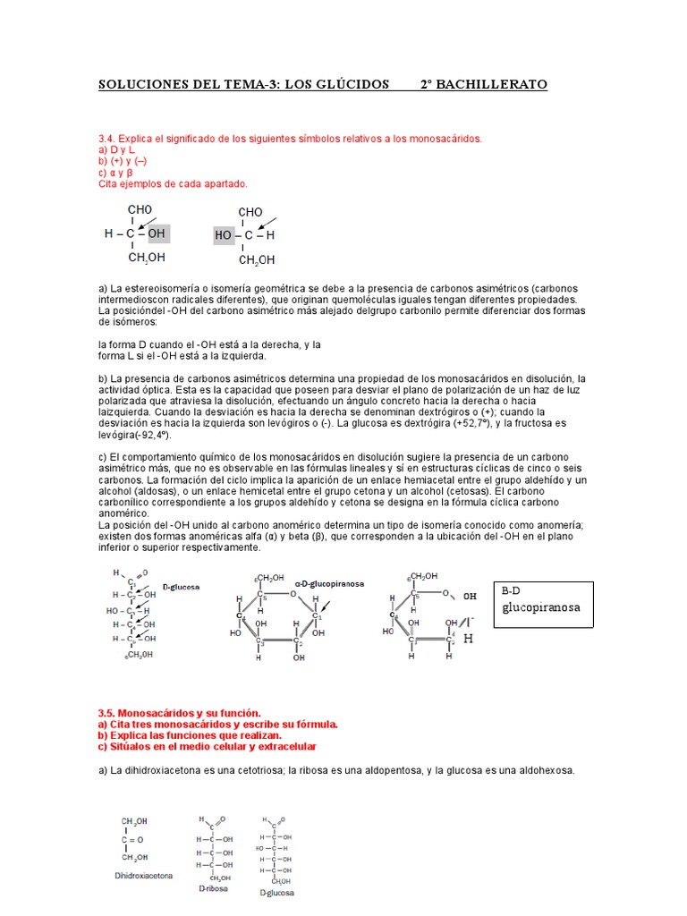 Soluciones Tema 3 | PDF | Polisacárido | Carbohidratos