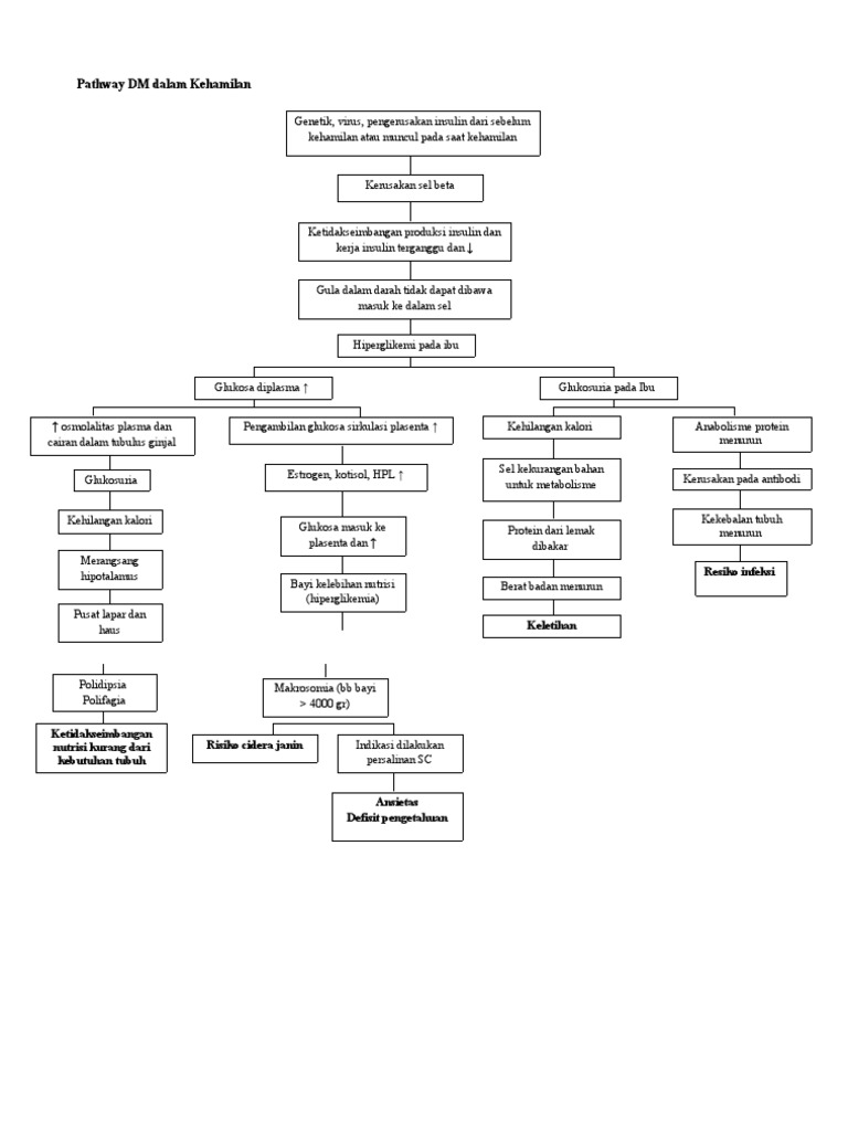 Pathway DM Dalam Kehamilan