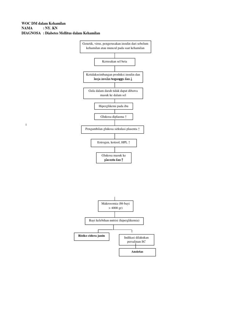 WOC DM Dalam Kehamilan | PDF