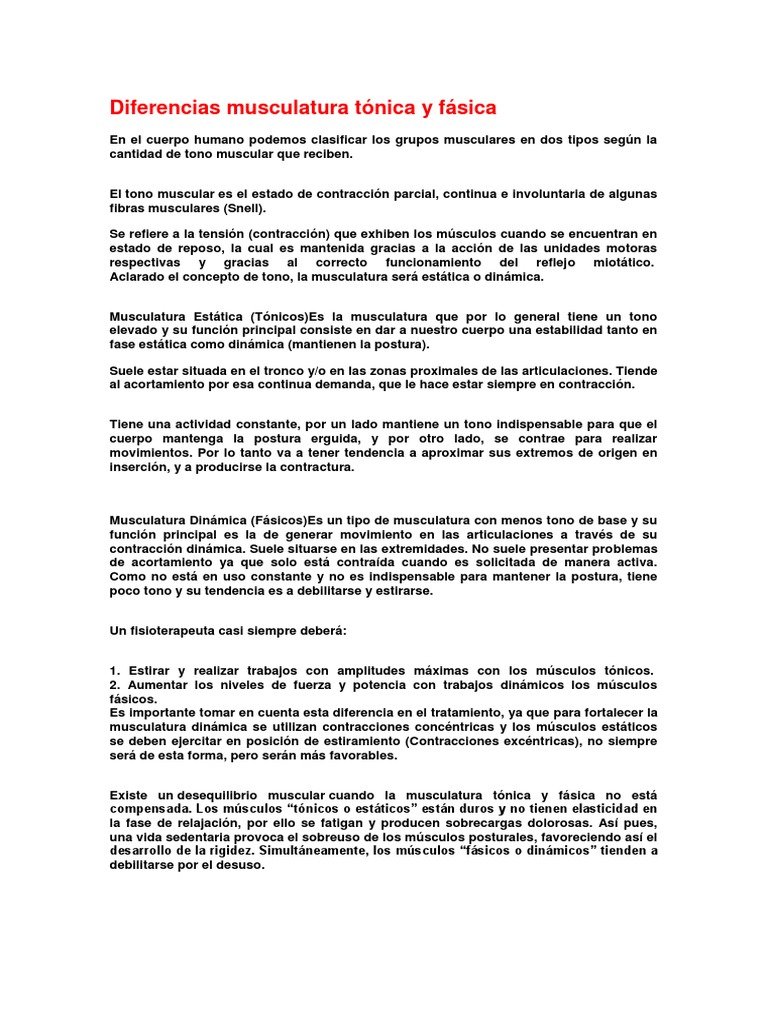 Musculatura Tonica y Fasica PDF | PDF | Contracción muscular | Músculo