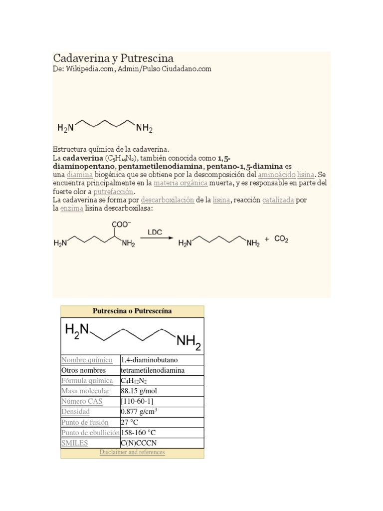 Cadaverina y Putrescina | Grupo funcional | Compuestos químicos