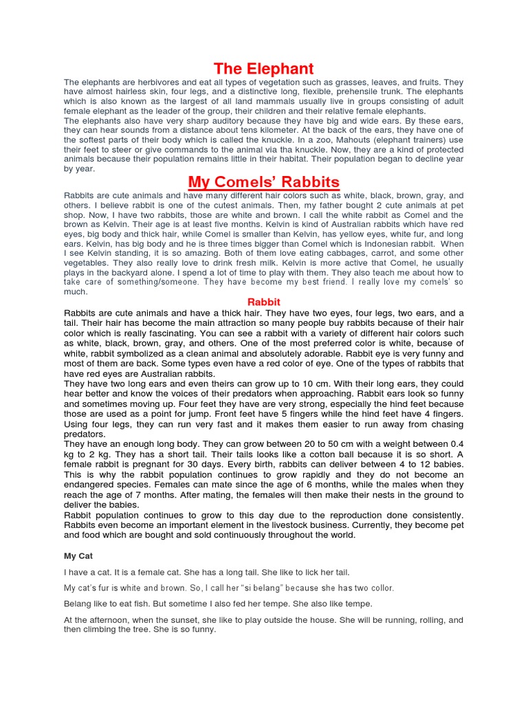 English-Descriptive Text About Animal | PDF | Elephant | Giraffe