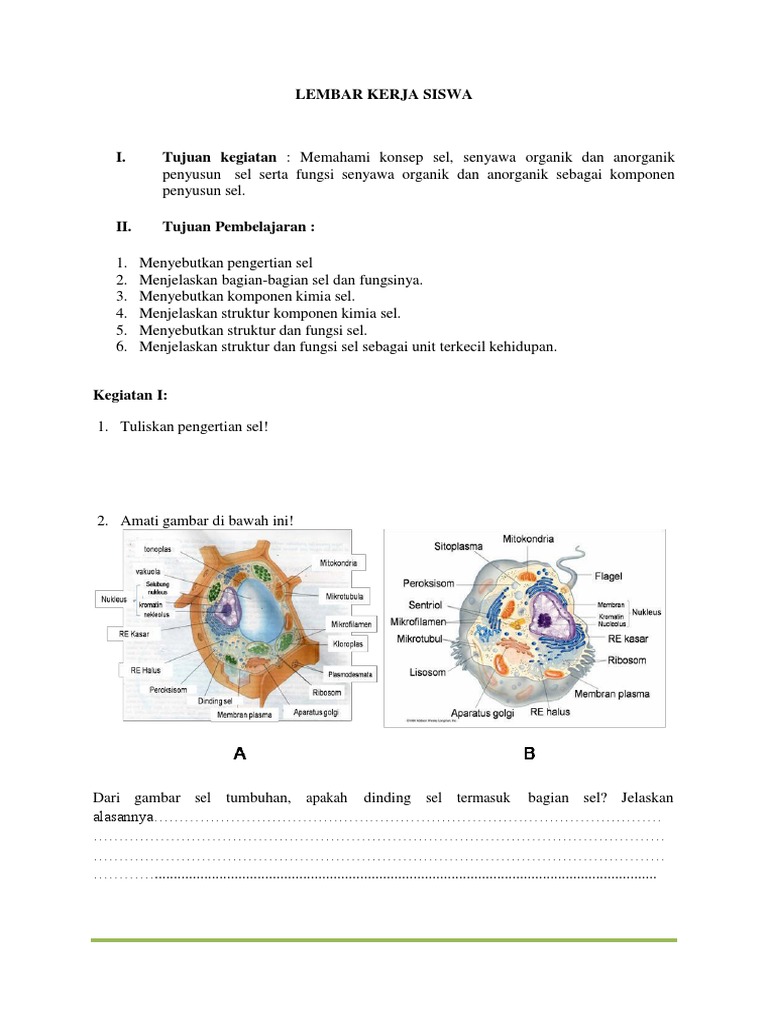 LKS Sel Kelas Xi | PDF