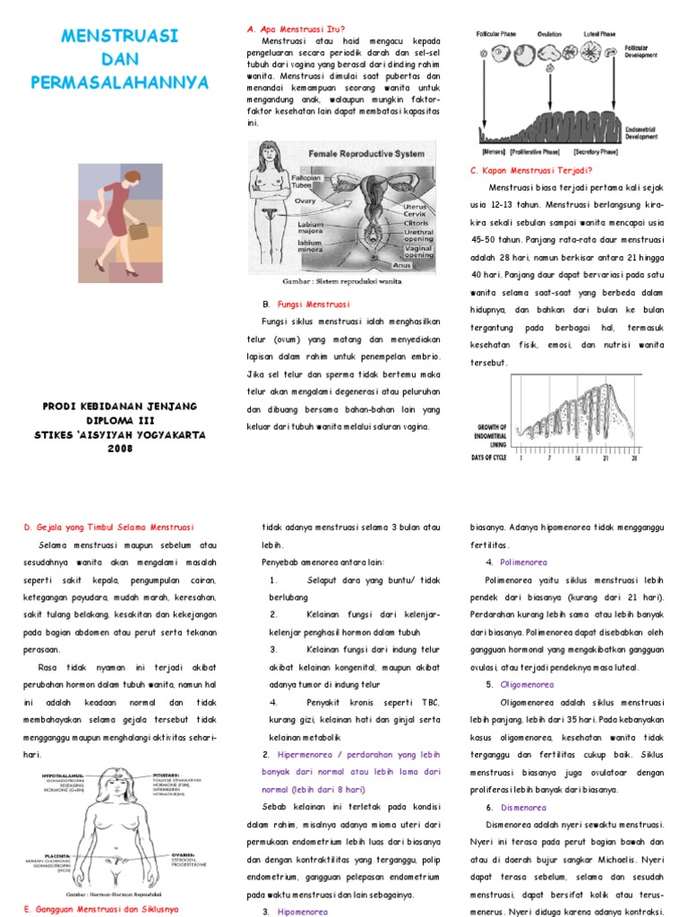 Leaflet Menstruasi | PDF