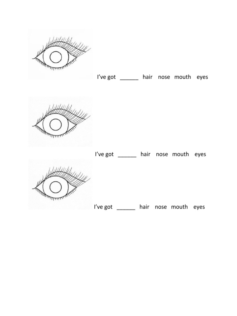 Parts of The Face Worksheet | PDF