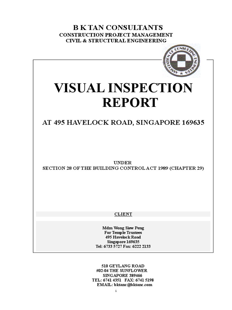 Visual Inspection REPORT | PDF | Roof | Corrosion