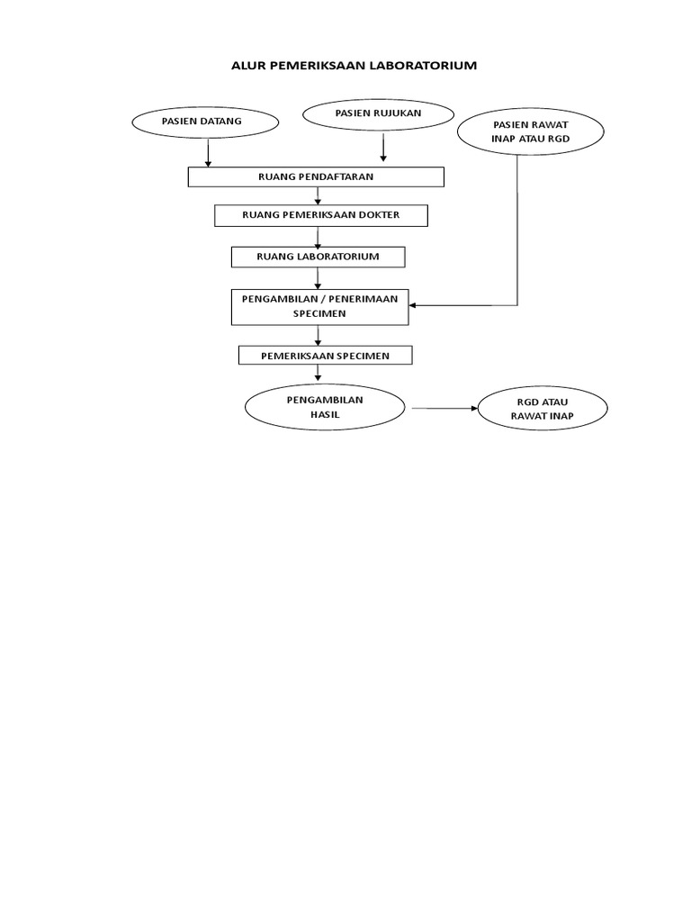 Alur Pelayanan Laboratorium | PDF