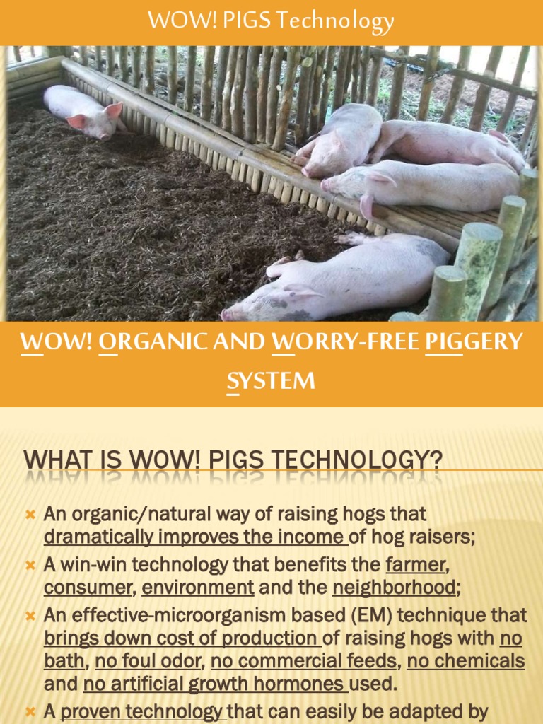 Organic Swine Production | PDF | Domestic Pig | Pig