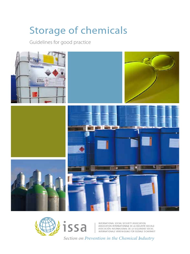 Chemical Storage Safety Guidelines | PDF | Dangerous Goods | Risk