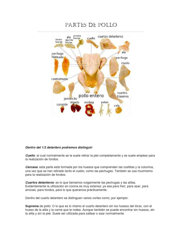 Partes y cortes del pollo en cocina | PDF | filete | Parilla