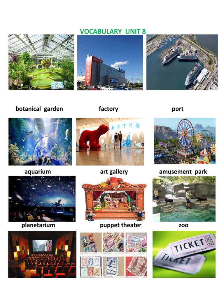 Vocabulary Unit 8: Places and Activities | PDF | Art | Science ...